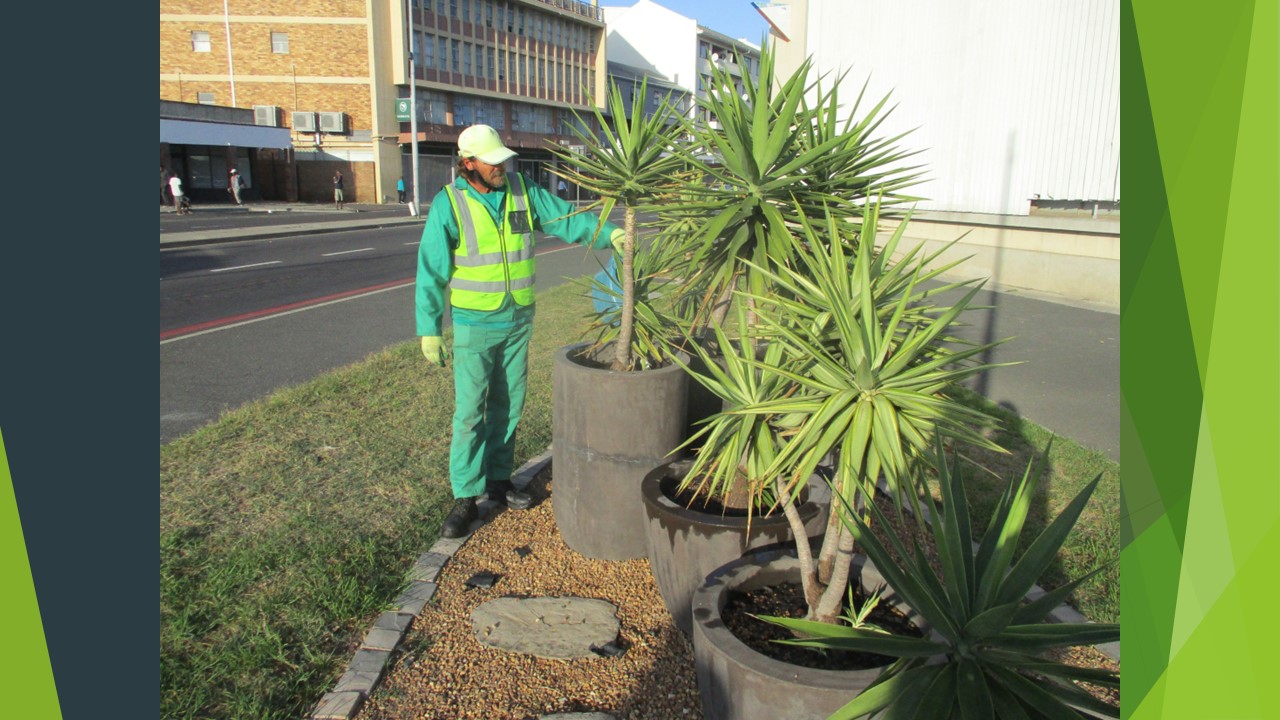 News – Strand BID | Future Strand